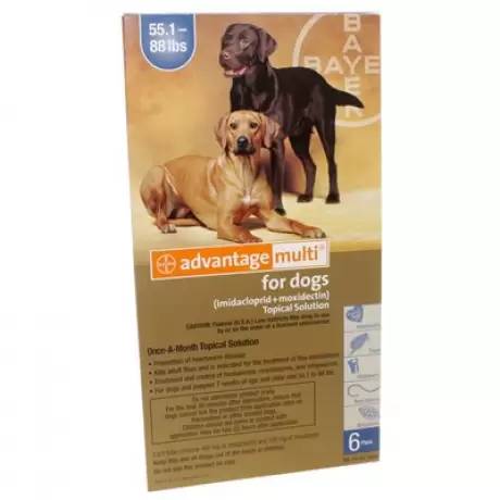 Advantage Multi for Dogs - Heartworm/Flea Med | VetRxDirect