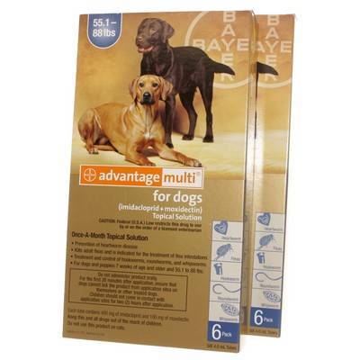 Advantage Multi for Dogs - Heartworm/Flea Med | VetRxDirect | 20.1-55 ...