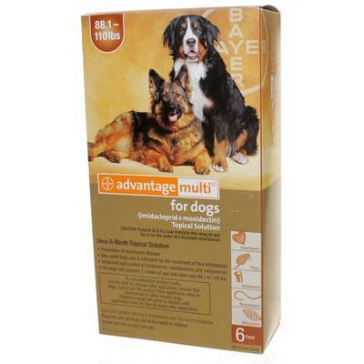 Advantage Multi for Dogs - Heartworm/Flea Med | VetRxDirect