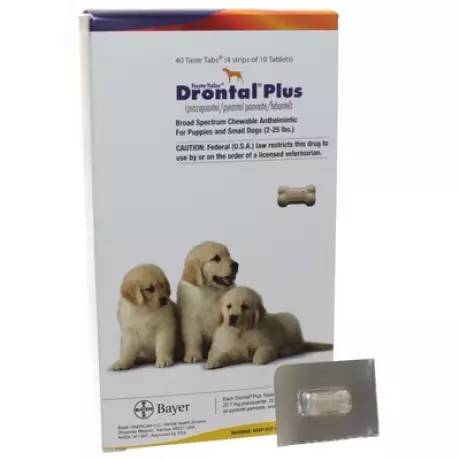 Drontal Plus for Dogs - Dewormer Taste Tabs | VetRxDirect Pharmacy