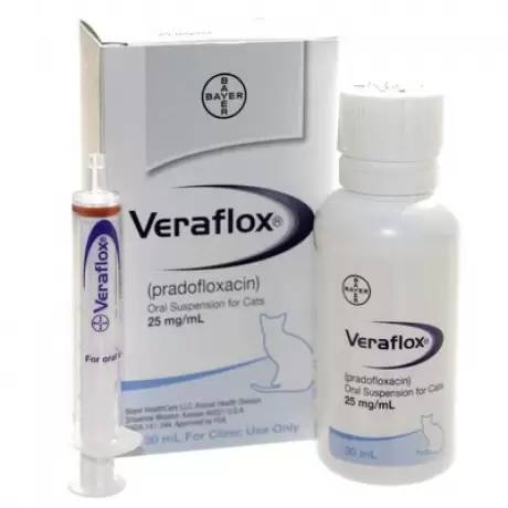 Veraflox for Cats - Pradofloxacin Antibiotic Suspension | VetRxDirect ...
