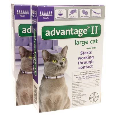 Advantage II for Cats: Flea Prevention | VetRxDirect | Over 9 lbs, 4 ...