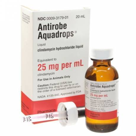 Clindamycin Drops - Antibiotics for Pets | VetRxDirect | Antirobe ...