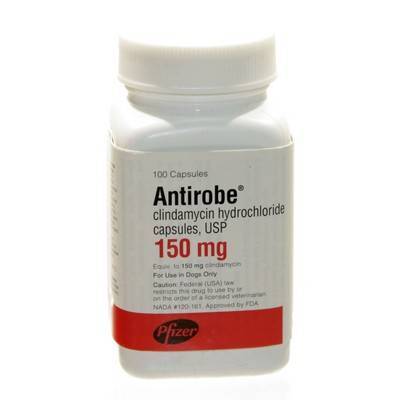Antirobe: Clindamycin for pets - Antibiotic - VetRxDirect.com