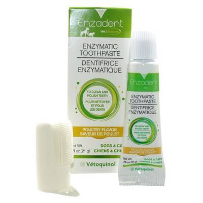 Enzadent Enzymatic Toothpaste for Dogs and Cats - Dental Care | VetRxDirect