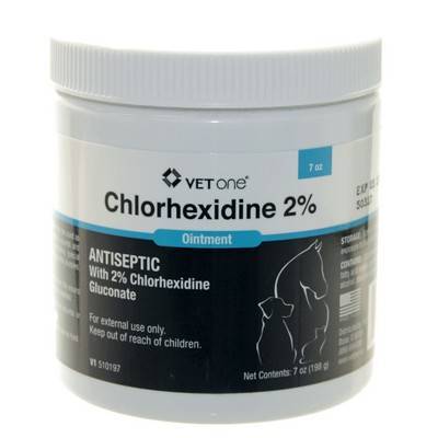 Chlorhexidine 2% Ointment - Pet Antiseptic | VetRxDirect | 16oz Tub