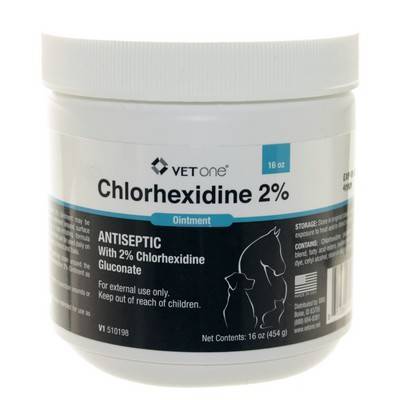 Chlorhexidine 2% Ointment - Pet Antiseptic | VetRxDirect