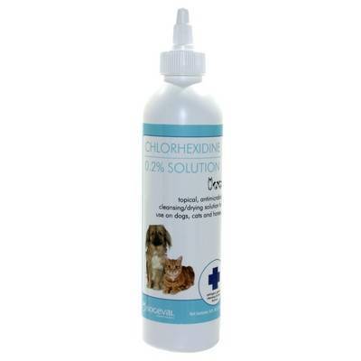 Chlorhexidine Solution - Pet Topical Flush | VetRxDirect