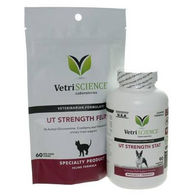 UT Strength: Urinary Tract Health in Dogs and Cats - VetRxDirect | STAT ...