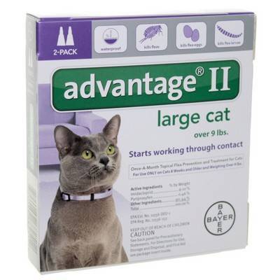 Advantage II for Cats: Flea Prevention | VetRxDirect