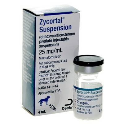 Zycortal Suspension - Addison's Disease in Dogs | VetRxDirect | 25 mg ...