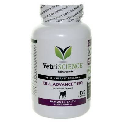 Cell Advance - Antioxidant Support for Pets | VetRxDirect