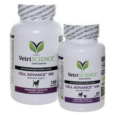 Cell Advance - Antioxidant Support for Pets | VetRxDirect
