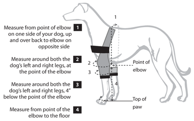 DogLeggs: Standard Length Adjustable - for Dogs with Hygromas